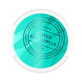 Catch Snus: Köp online | Snusnetto.se